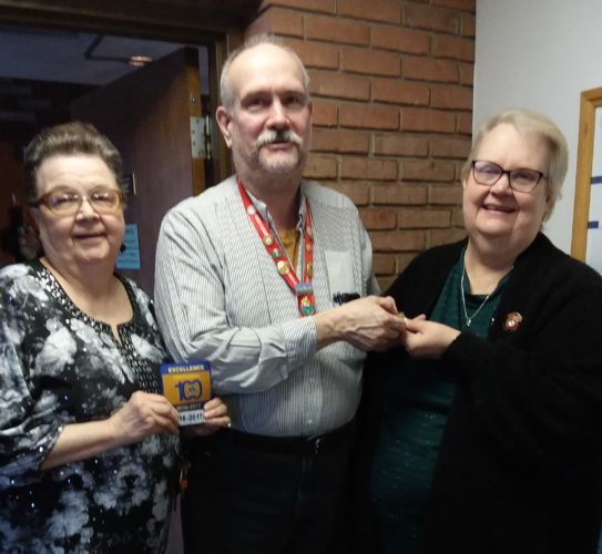 Mingo Lions get excellence award | News, Sports, Jobs - The Herald Star